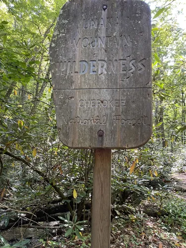 2023 Best River Trails in Unaka Mountain Wilderness | AllTrails