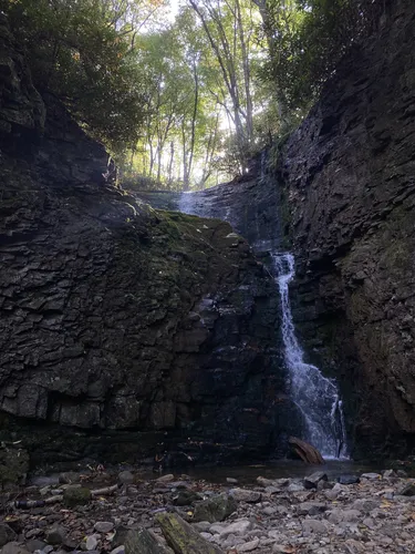 2023 Best River Trails in Unaka Mountain Wilderness | AllTrails