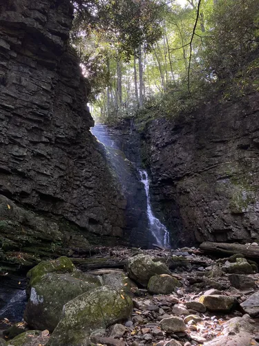 2023 Best River Trails in Unaka Mountain Wilderness | AllTrails