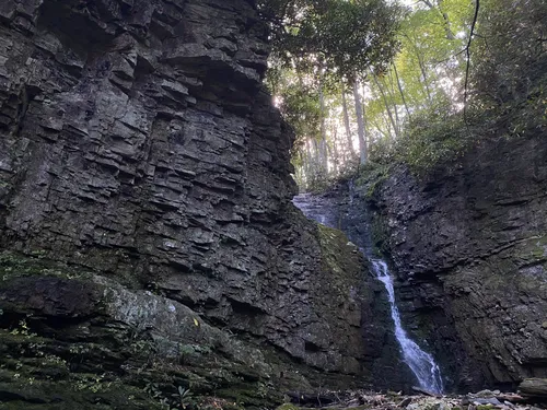 2023 Best River Trails in Unaka Mountain Wilderness | AllTrails