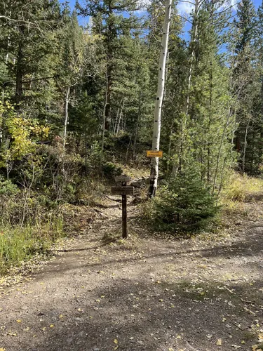 10 Best Trails and Hikes in Red Feather Lakes | AllTrails