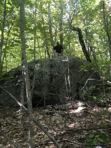 Best Hikes and Trails in Alton Town Forest | AllTrails