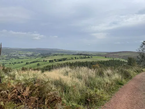 10 Best Trails, Walks, and Paths in Rothbury | AllTrails