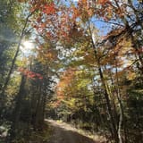 Mount Carleton Summit Trail, New Brunswick, Canada - 369 Reviews, Map ...