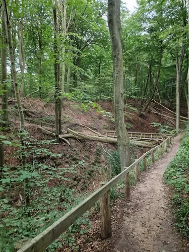 Best Hikes and Trails in Kollund Skov | AllTrails