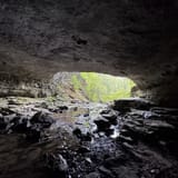 Buggytop Trail to Lost Cove Cave, Tennessee - 760 Reviews, Map | AllTrails