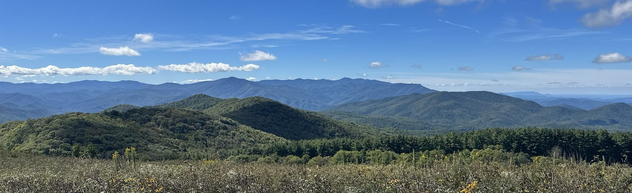 Max Patch Loop, North Carolina - 1,986 Reviews, Map | AllTrails