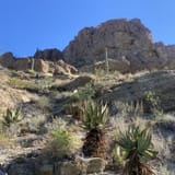Boyce Thompson Arboretum Main Trail to High Trail Loop, Arizona - 42 ...