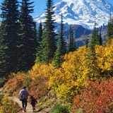 Tipsoo Lake Loop, Washington - 442 Reviews, Map | AllTrails