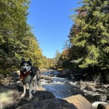Auger Falls Loop, New York - 695 Reviews, Map | AllTrails