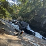Auger Falls Loop, New York - 695 Reviews, Map | AllTrails