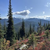 Mount Sawyer via Tonga Ridge Trail, Washington - 326 Reviews, Map ...