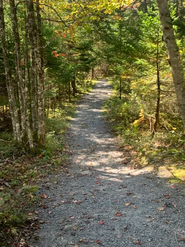 2023 Best Trails, Walks, and Paths in Mount Uniacke | AllTrails