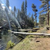 Fall River Trail, Oregon - 414 Reviews, Map | AllTrails