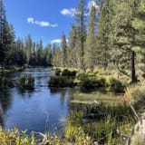 Fall River Trail, Oregon - 414 Reviews, Map | AllTrails