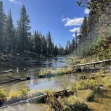 Fall River Trail, Oregon - 414 Reviews, Map | AllTrails