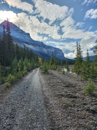 10 Best Waterfall Trails in Jasper National Park | AllTrails