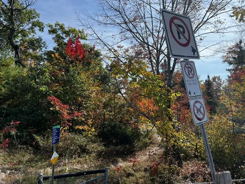 Best Hikes and Trails in Carp Hills Municipal Nature Reserve | AllTrails