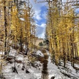 Golden Lakes Loop, Washington - 111 Reviews, Map | AllTrails