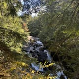Auger Falls Loop, New York - 695 Reviews, Map | AllTrails