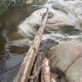 Seven Tea Cups (7TC) via Dry Creek Meadow, California - 229 Reviews ...