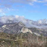 Seven Tea Cups (7TC) via Dry Creek Meadow, California - 271 Reviews ...