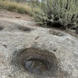 Seven Tea Cups (7TC) via Dry Creek Meadow, California - 229 Reviews ...