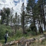 Seven Tea Cups (7TC) via Dry Creek Meadow, California - 271 Reviews ...