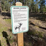 Caribou Ranch Trail, Colorado - 1,332 Reviews, Map | AllTrails