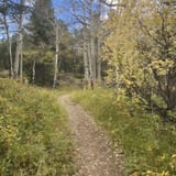 Caribou Ranch Trail, Colorado - 1,332 Reviews, Map | AllTrails