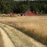 Caribou Ranch Trail, Colorado - 1,332 Reviews, Map | AllTrails