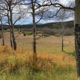 Caribou Ranch Trail, Colorado - 1,332 Reviews, Map | AllTrails