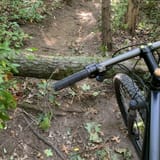 Luton Park Trail, Michigan - 1,375 Reviews, Map | AllTrails