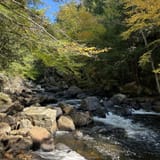 Auger Falls Loop, New York - 669 Reviews, Map | AllTrails