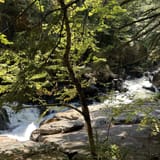 Auger Falls Loop, New York - 669 Reviews, Map | AllTrails
