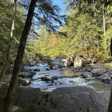 Auger Falls Loop, New York - 669 Reviews, Map | AllTrails