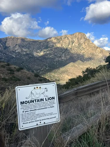 Best Hikes and Trails in El Monte County Park | AllTrails