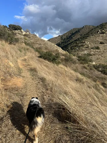 Best Hikes and Trails in El Monte County Park | AllTrails