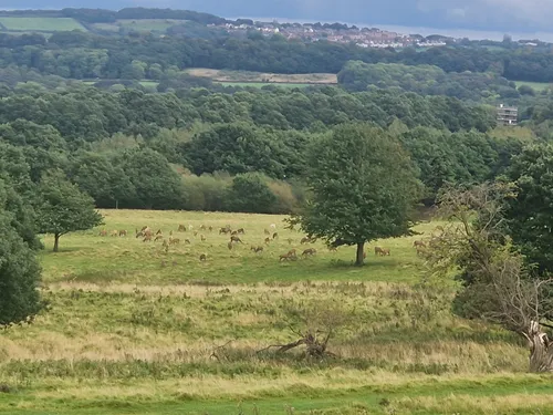 10 Best Trails and Hikes in Barnsley | AllTrails