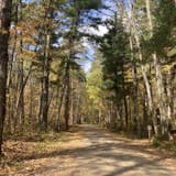 Lost '40' Trail, Minnesota - 182 Reviews, Map | AllTrails