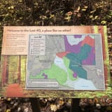 Lost '40' Trail, Minnesota - 182 Reviews, Map | AllTrails
