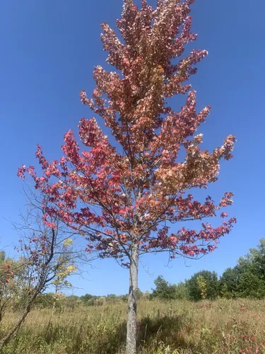 Best Hikes and Trails in Purgatory Park | AllTrails