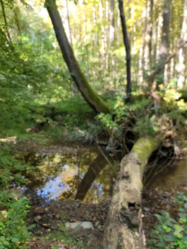 Best Hikes and Trails in Johnny Moore Stream Valley Park | AllTrails