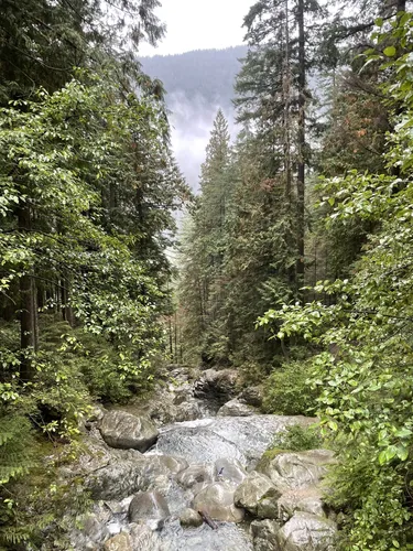 Best Hikes and Trails in Davis Lake Provincial Park | AllTrails