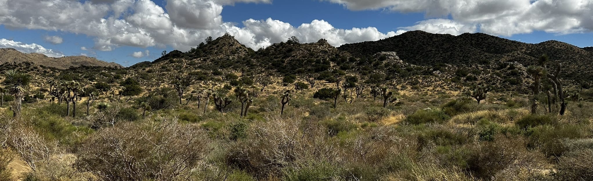 Black Rock Canyon Trail, California - 455 Reviews, Map | AllTrails