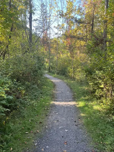 Best Hikes and Trails in Webster Park | AllTrails