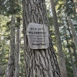 Johnson Ridge Trail, Washington - 287 Reviews, Map | AllTrails