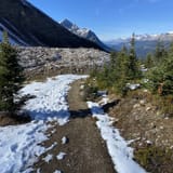 Bow Summit Viewpoint, Alberta, Canada - 737 Reviews, Map | AllTrails