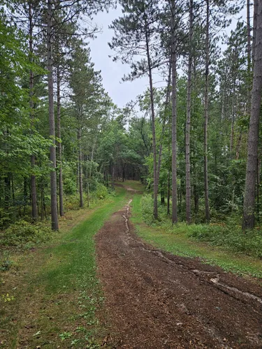 Best Hikes and Trails in Standing Rock Park | AllTrails
