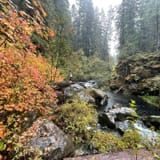 Toketee Falls, Oregon - 1,981 Reviews, Map | AllTrails